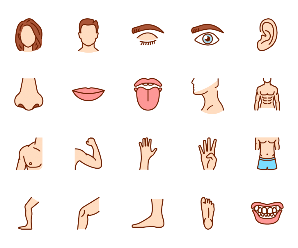Human Body Parts Line And Colour Icons - GraphicsFuel